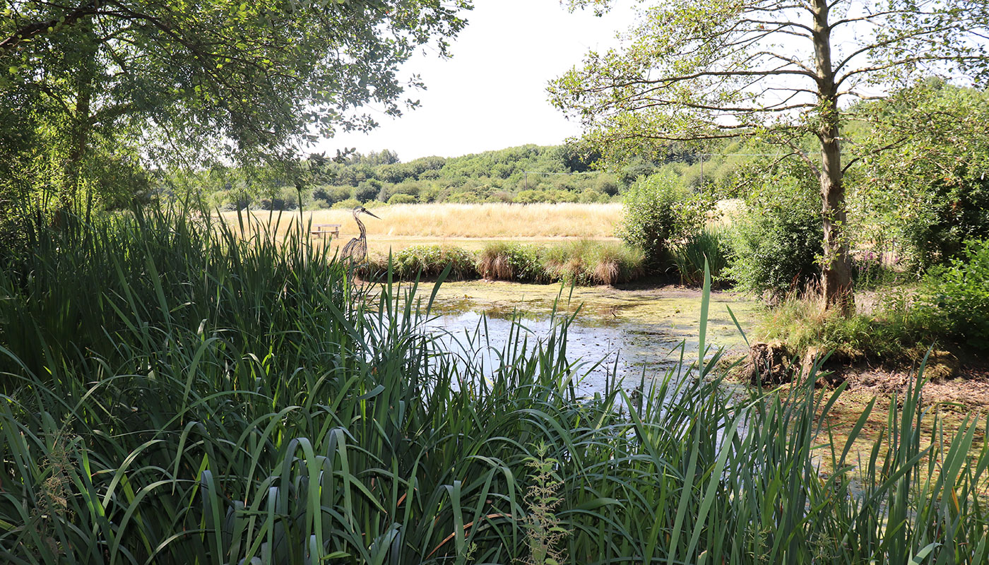 Mardyke Valley, Essex © Thurrock Film Office